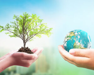 National Water Supply and Drainage Board